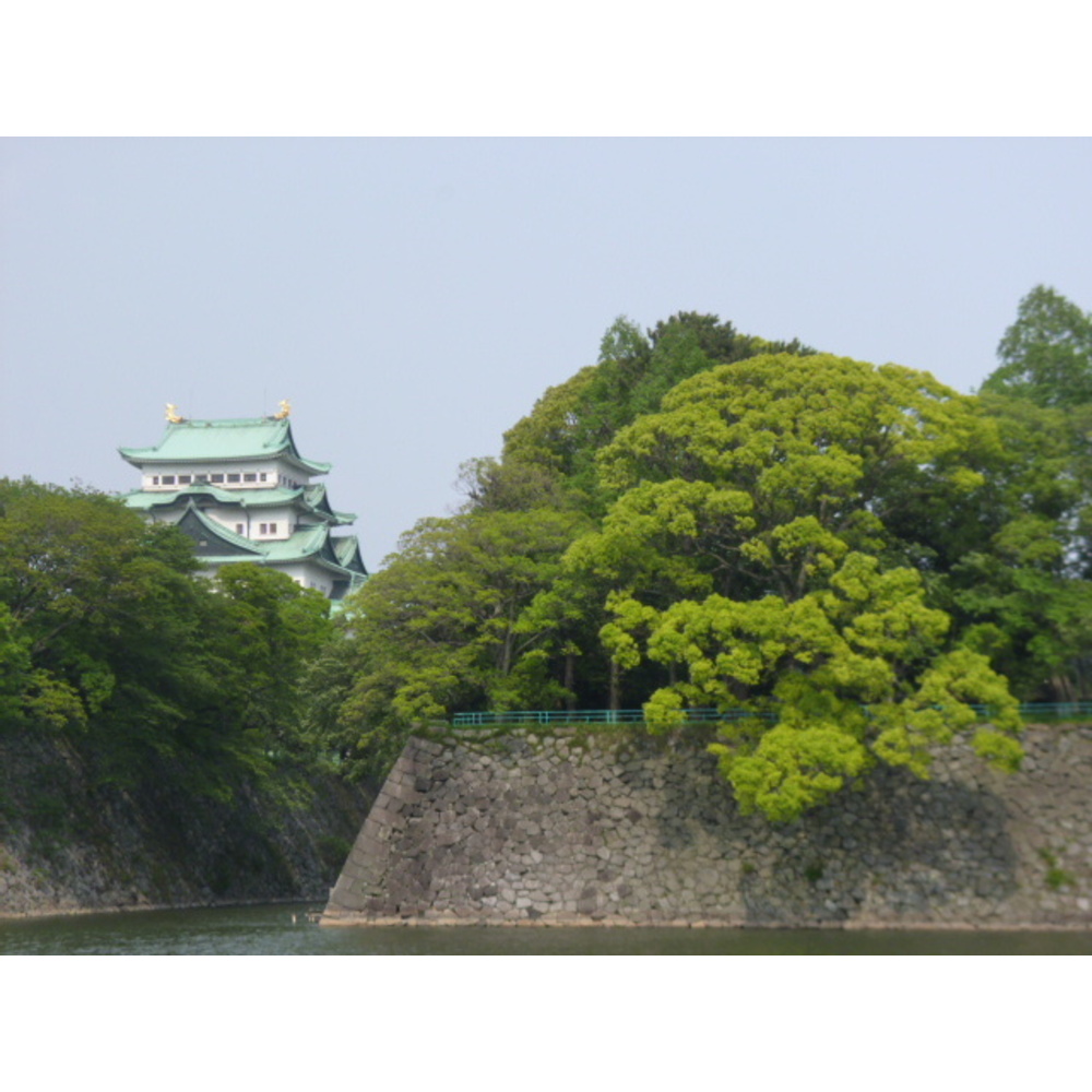 名古屋市営地下鉄名城線 栄駅 地上14階建て 築22年 愛知県名古屋市中区新栄1丁目 (5.8万円／1DK (洋室4.8 DK5.5)／24.83㎡)｜賃貸物件(賃貸マンション・アパート・一戸 ...
